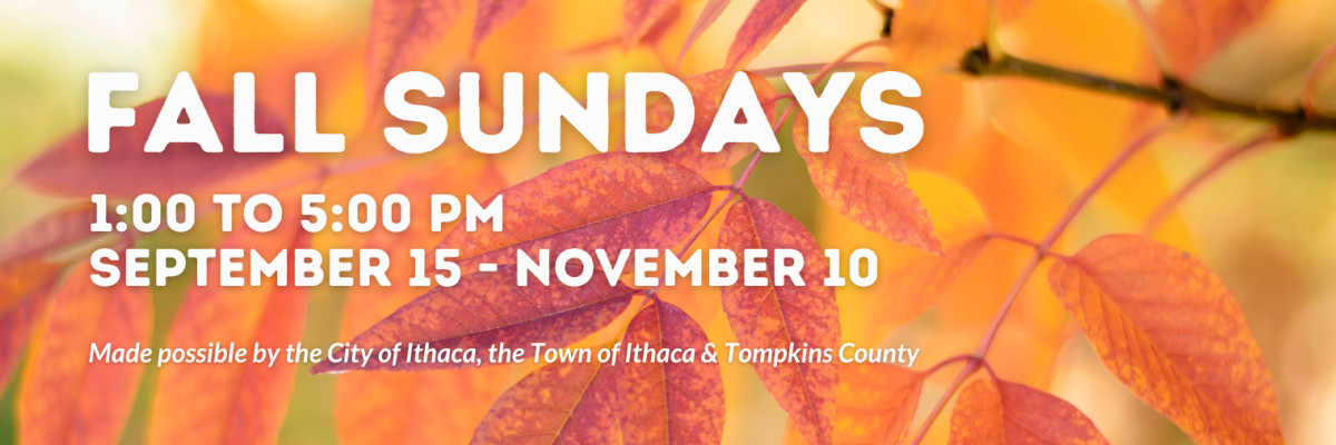 Home | Tompkins County Public Library
