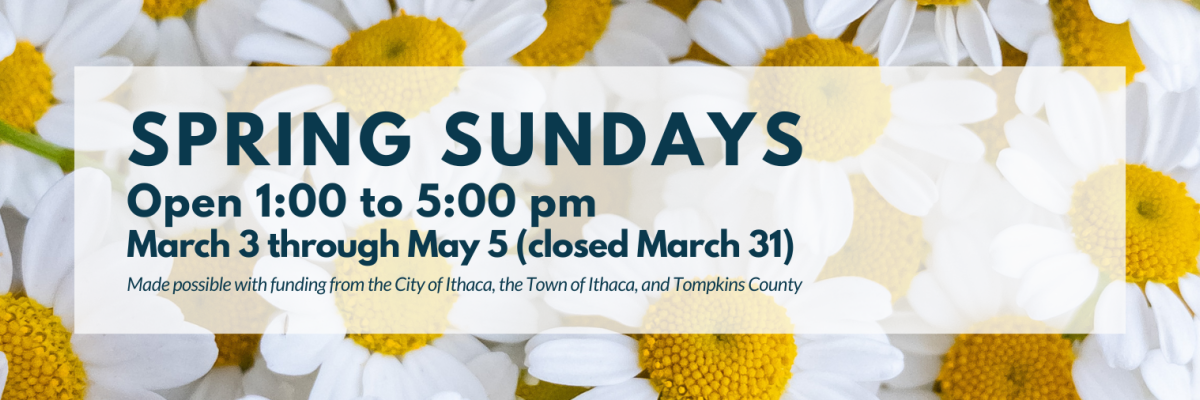 Home | Tompkins County Public Library